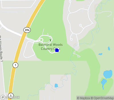 91 Village Woods Drive, Crete IL 60417 5289968