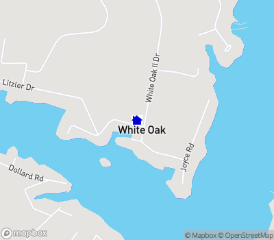 1030 Levi Street, Manning SC 29102 5716878