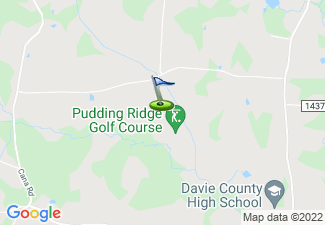 Pudding Ridge Golf Club Homes for Sale - Real Estate